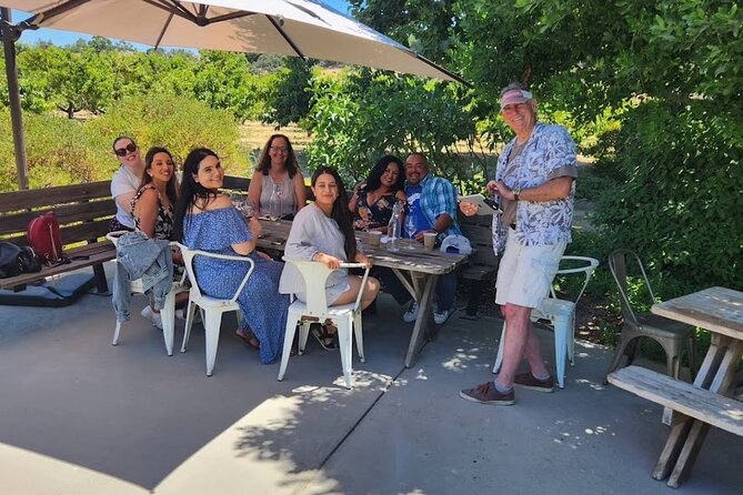 Solvang Santa Ynez Valley Small Group All-Inclusive Wine Tour - The Logistics and Practicalities