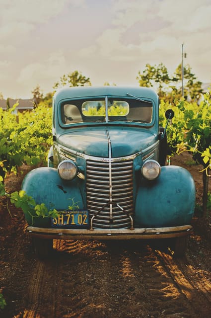 Solvang: Santa Ynez Valley Wine Tours w/ Lunch & Tastings - Who Will Love This Tour?