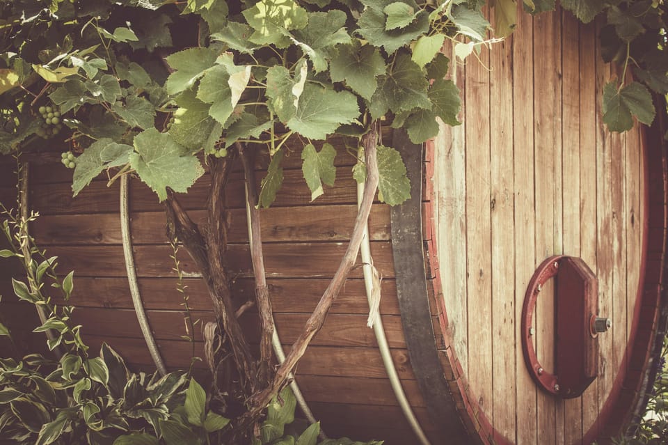 Solvang: Santa Ynez Valley Wine Tours w/ Lunch & Tastings - Additional Recommendations