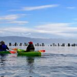 Somers Bay Flathead Lake Sunset Tour - Authentic Insights from Reviews