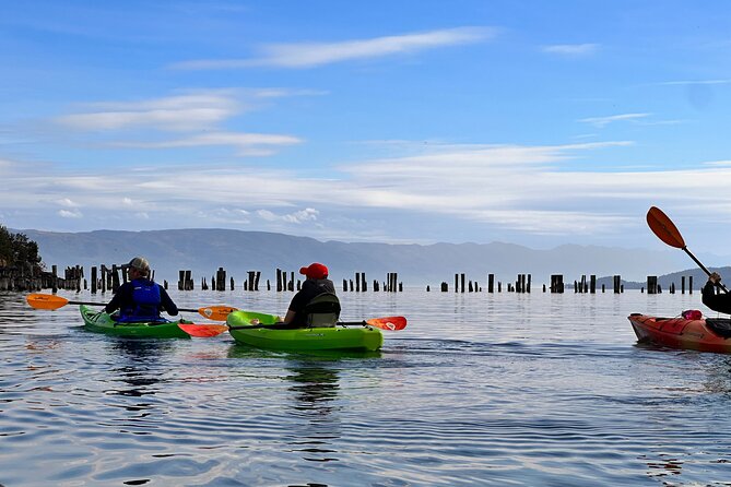 Somers Bay Flathead Lake Sunset Tour - Authentic Insights from Reviews
