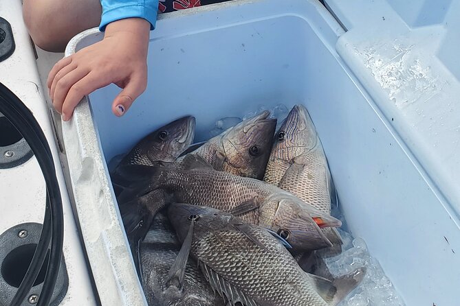 Sonnys Boat Tours Half Day Off Shore Fishing Charter Englewood Fl - Key Points