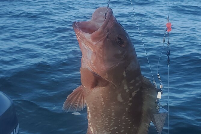 Sonnys Boat Tours Half Day Off Shore Fishing Charter Englewood Fl - Final Words