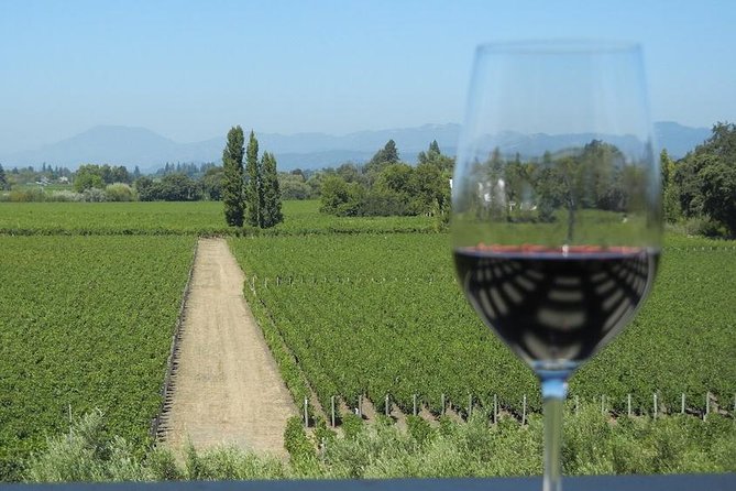 Sonoma and Napa Wine Tour 3 Tastings Included Small-Group Tour - The Experience: A Deep Dive into the Day