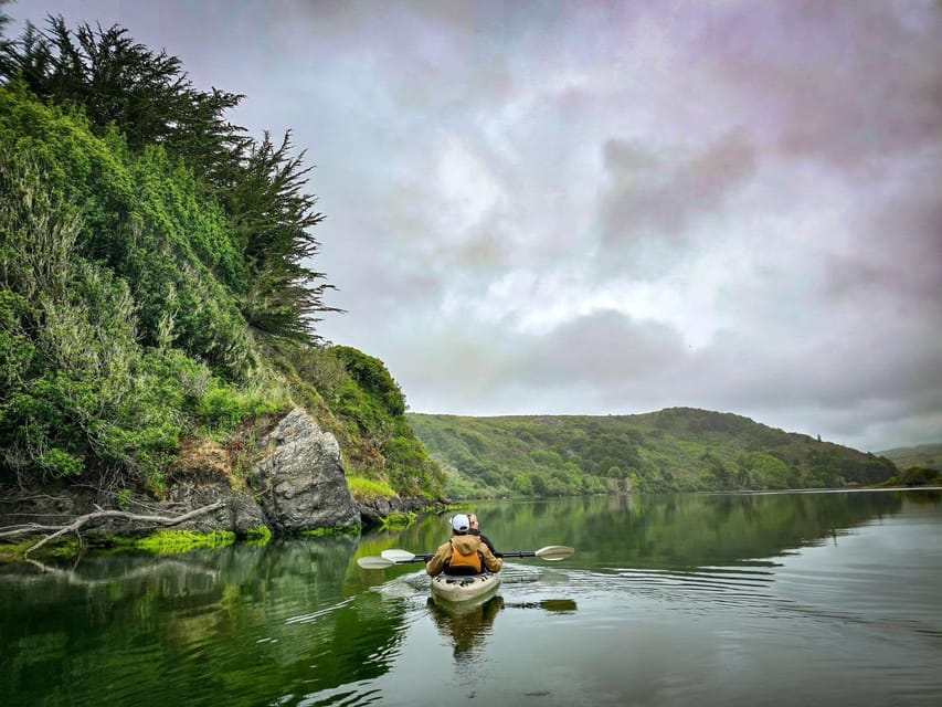 Sonoma Coast: Russian River Kayak Tour - Key Points