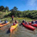 Sonoma Coast: Russian River Kayak Tour - Why This Tour Is Worth Considering