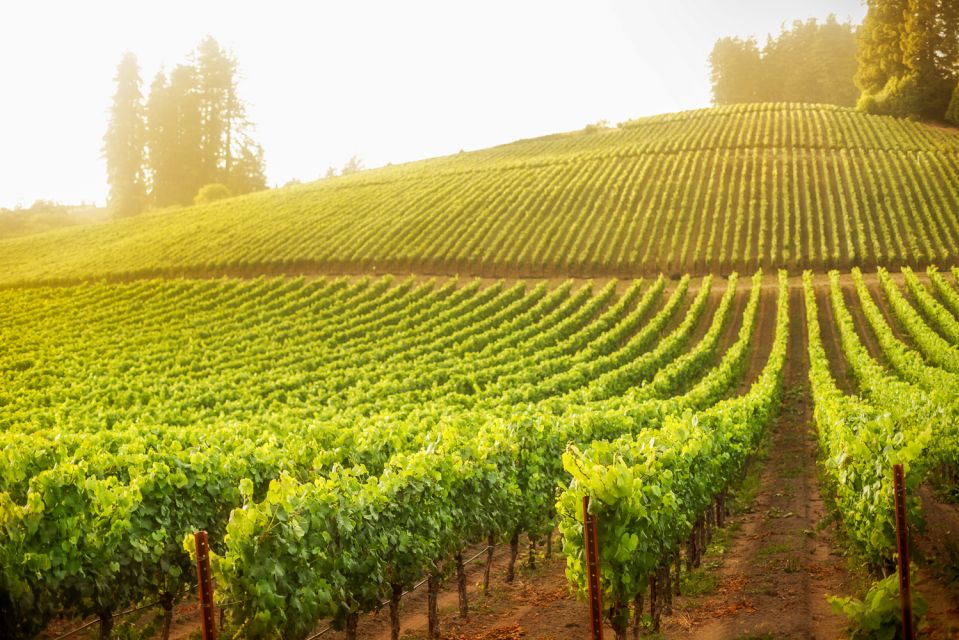 Sonoma County: Tasting Pass (Choose 1, 2, or 90 Days) - How the Pass Works in Practice