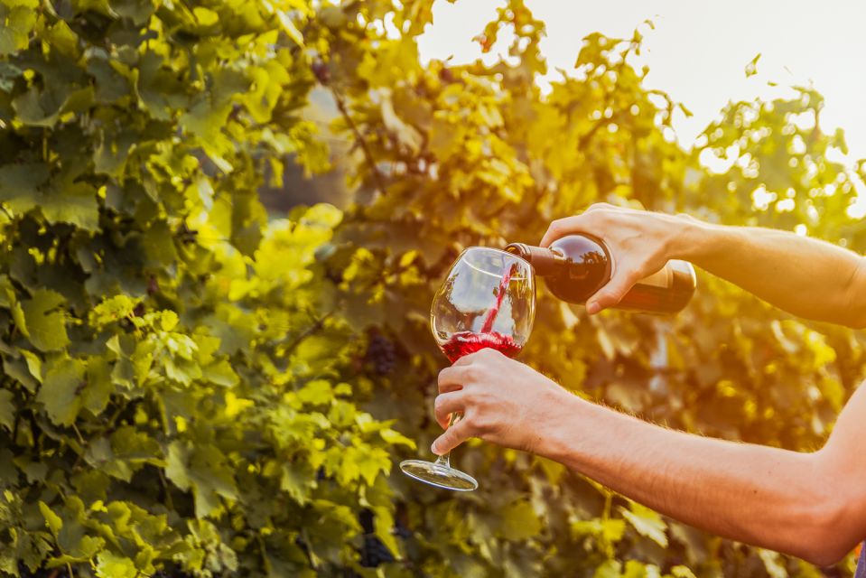 Sonoma County: Tasting Pass (Choose 1, 2, or 90 Days) - What Reviewers Say