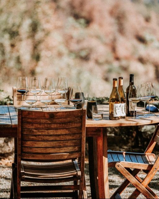 Sonoma: Explore Natural Wineries with a Local Sommelière - Who Would Enjoy This Tour?