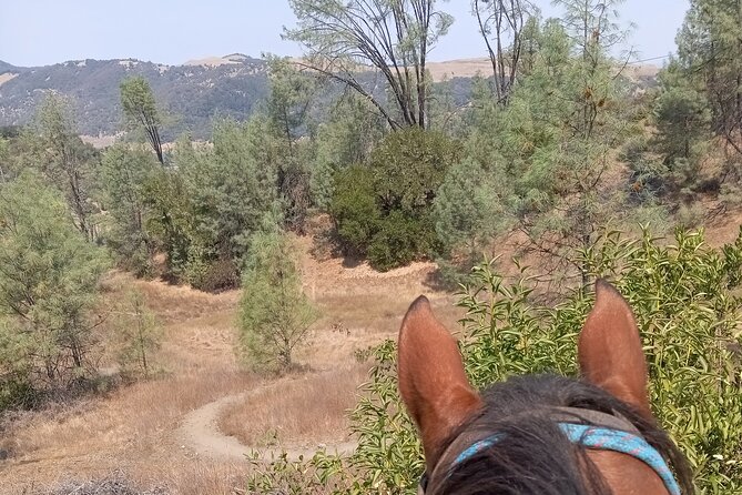 Sonoma Horseback-Riding Tour - What to Expect from Your Sonoma Horseback-Riding Tour