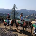 Sonoma Horseback-Riding Tour - Who Should Consider This Tour?