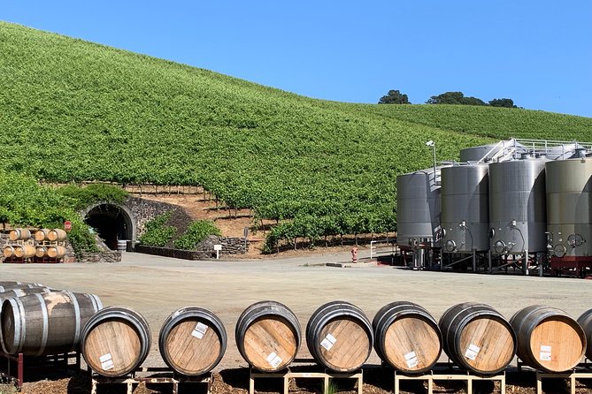 Sonoma or Napa -8hr- Private Wine Tour with Concierge Service - Who Will Love This Tour?