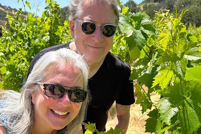 Sonoma Trike and Hike - 3 hour guided tour - The Itinerary: A Well-Curated Sonoma Experience