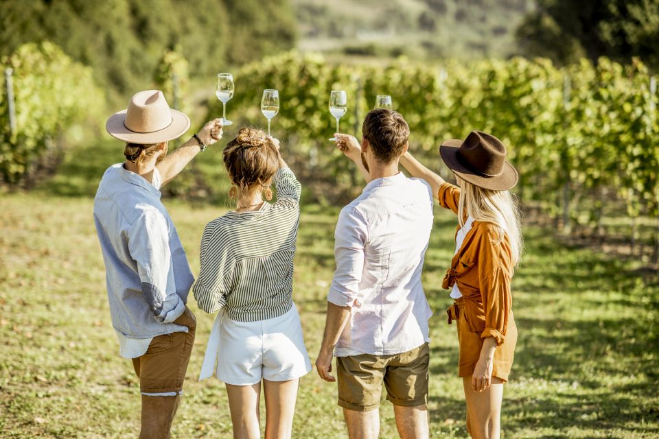 Sonoma Valley: Guided Winery Tour with Picnic Lunch - Exploring the Sonoma Valley Guided Winery Tour