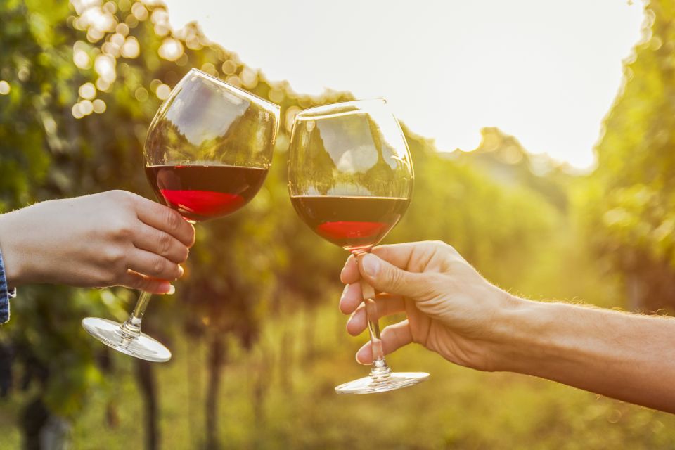 Sonoma Valley: Guided Winery Tour with Picnic Lunch - To sum it up...