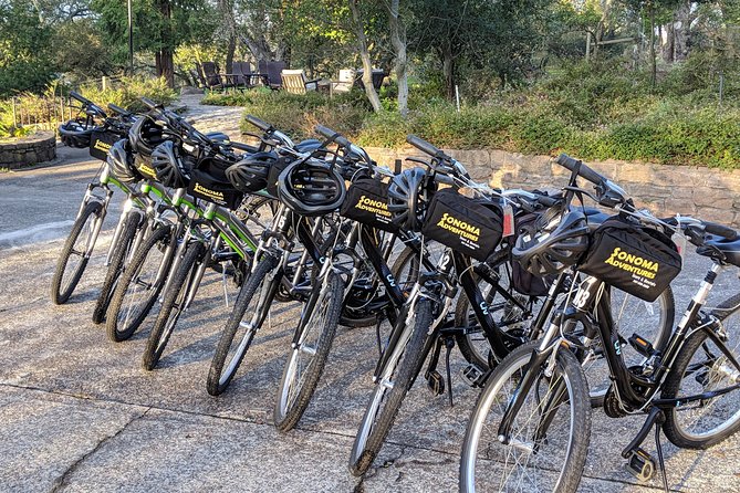 Sonoma Valley Pedal Assist Bike Tour - An In-Depth Look at the Sonoma Valley Pedal Assist Bike Tour