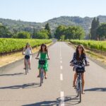 Sonoma Valley Pedal Assist Bike Tour - Who Would Love This Experience?