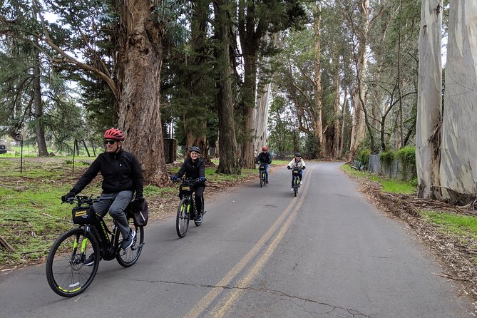 Sonoma Valley Pedal Assist Bike Tour with Lunch - A Deep Dive into the Sonoma Valley Pedal-Assist Bike Tour