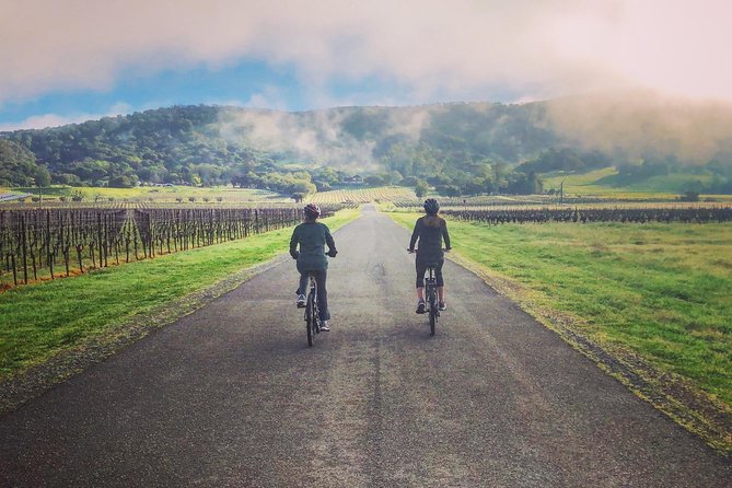 Sonoma Valley Pedal Assist Bike Tour with Lunch - Who Will Love This Tour?