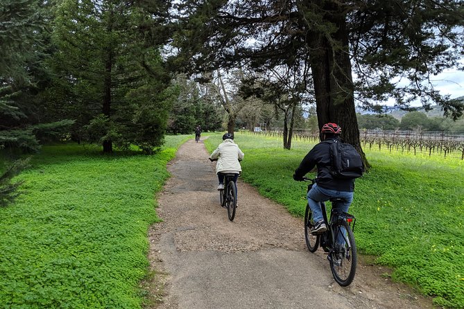 Sonoma Valley Pedal Assist Bike Tour with Lunch - Final Thoughts