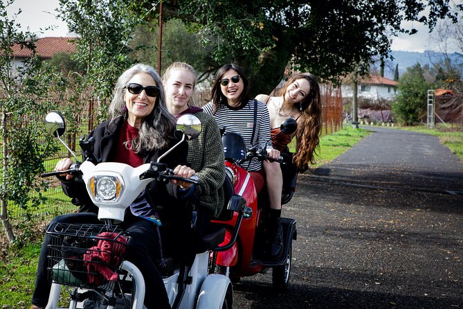 Sonoma Wine Country Electric Trike Tour - 3 hours - What Makes This Tour Stand Out?