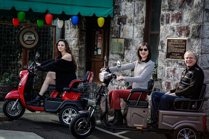 Sonoma Wine Country Electric Trike Tour - 3 hours - The Sum Up: Is It Worth It?