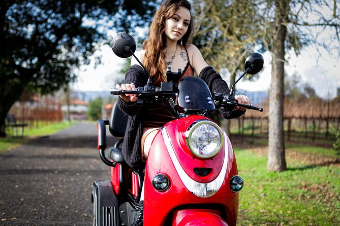 Sonoma Wine Country Electric Trike Tour - 3 hours - FAQ