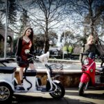Sonoma Wine Country Electric Trike Tour - 5 hours - Practical Details and Tips