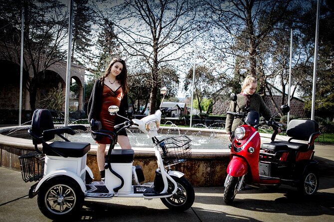 Sonoma Wine Country Electric Trike Tour - 5 hours - Practical Details and Tips