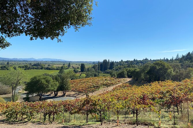 Sonoma Wine Rides: Sonoma County Join-In Group Wine Tasting Tours - Who This Tour Is Best For  