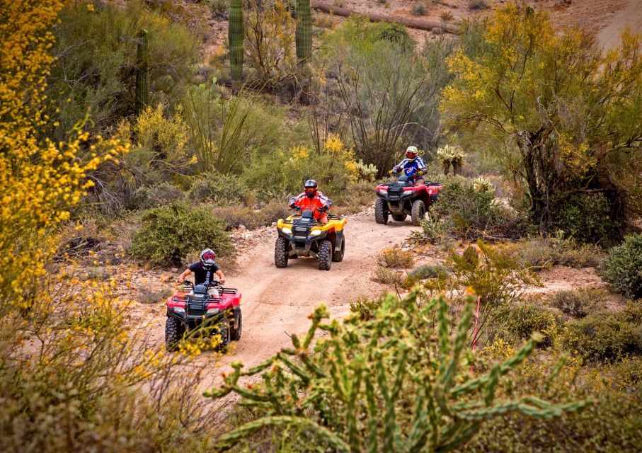 Sonoran Desert: Guided UTV or ATV Desert Tour - An In-Depth Look at the Experience