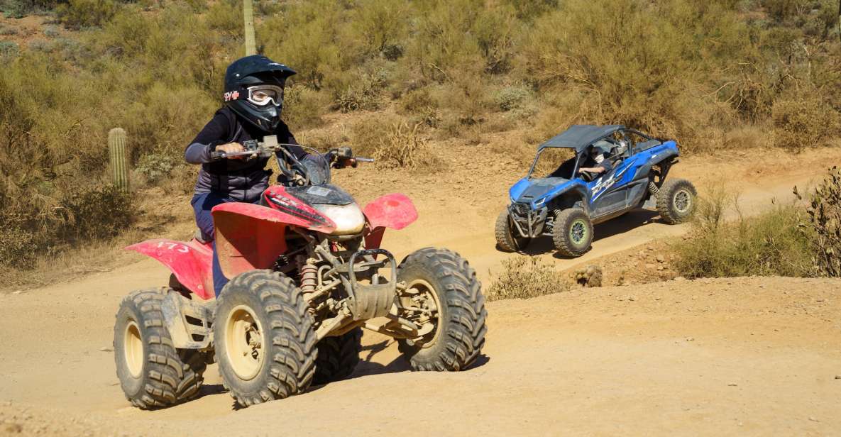 Sonoran Desert: Guided UTV or ATV Desert Tour - Pricing and Value