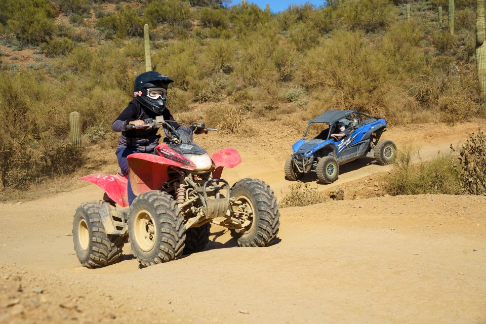 Sonoran Desert: Guided UTV or ATV Desert Tour - Practical Tips for Participants