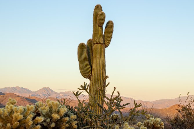 Sonoran Desert Jeep Tour - Why This Tour Works for You