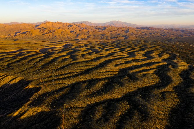 Sonoran Desert Jeep Tour - Authentic Insights from Reviews