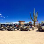 Sonoran Desert Off-Road Tours in Tomcars - Exploring the Sonoran Desert: What to Expect