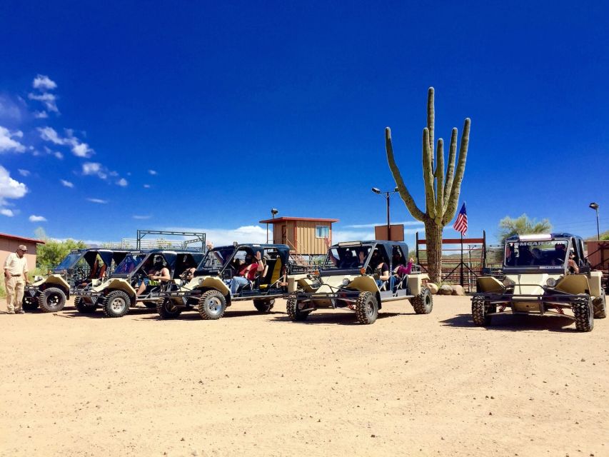 Sonoran Desert Off-Road Tours in Tomcars - Exploring the Sonoran Desert: What to Expect