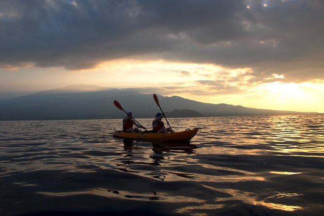 South Maui Kayak and Snorkel Tour with Turtles - Detailed Overview: What You Can Expect