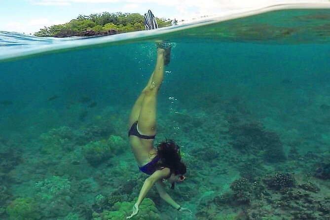 South Maui Kayak and Snorkel Tour with Turtles - Final Verdict