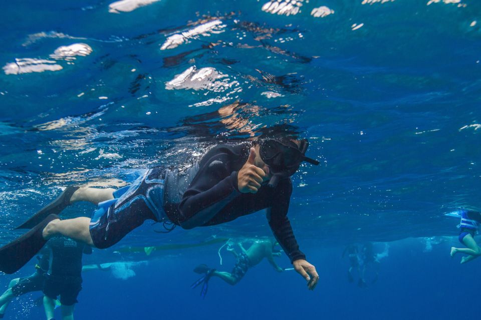 South Maui: Lanai Snorkel & Dolphin Watch from Maalaea - FAQ