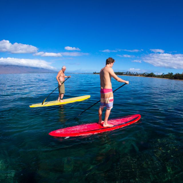 South Maui: Makena Bay Stand-Up Paddle Tour - A Closer Look at the Makena Bay SUP Tour