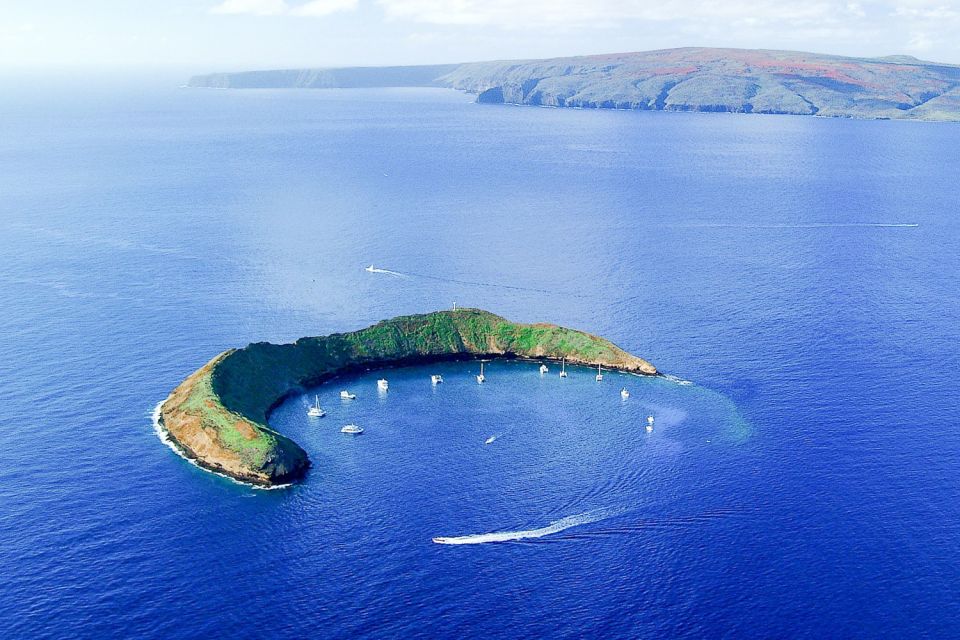 South Maui: Molokini & Turtle Town Snorkeling Tour with Meal - A Deep Dive into the Experience