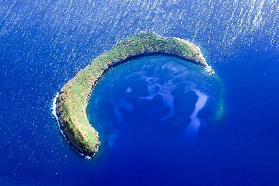 South Maui: Molokini & Turtle Town Snorkeling Tour with Meal - Who Will Love This Tour?