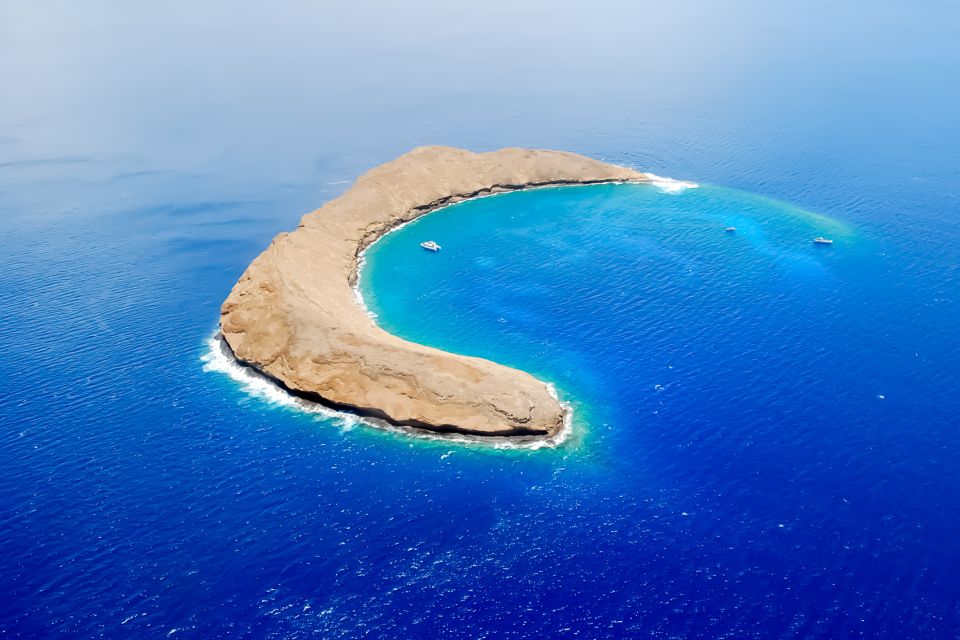 South Maui: Molokini Wild Eco Adventure from Maalaea Harbor - Key Points