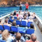 South Maui: Molokini Wild Eco Adventure from Maalaea Harbor - What Makes This Tour Special?