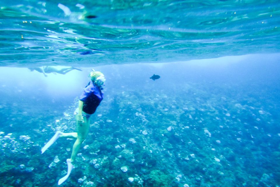 South Maui: Molokini Wild Eco Adventure from Maalaea Harbor - Frequently Asked Questions