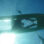South Maui: Self Guided Clear Bottom Kayak Tour - The Kayak Experience: A Closer Look