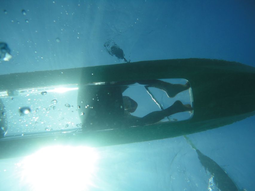 South Maui: Self Guided Clear Bottom Kayak Tour - The Kayak Experience: A Closer Look