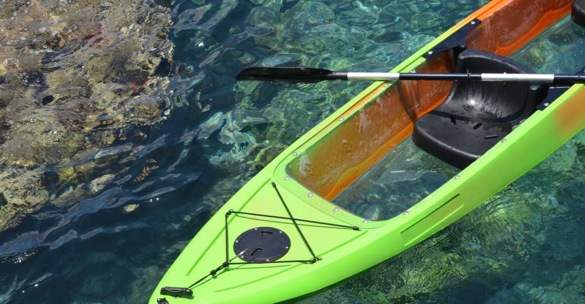 South Maui: Self Guided Clear Bottom Kayak Tour - The Marine Life: What Youll Likely See