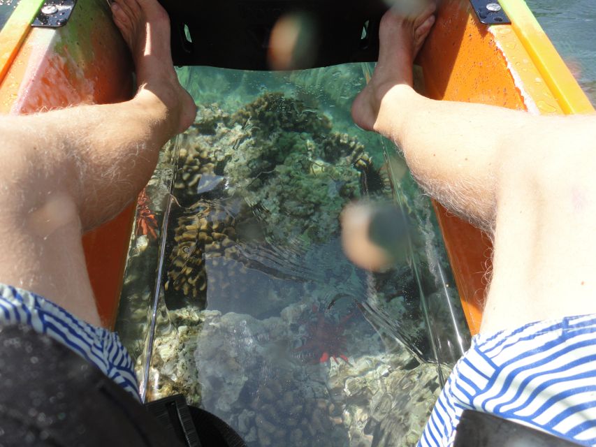 South Maui: Self Guided Clear Bottom Kayak Tour - Who Would Love This Tour?